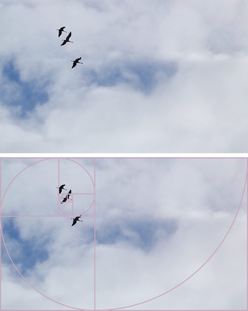 How to Use the Golden Ratio in Photography » All Good Great